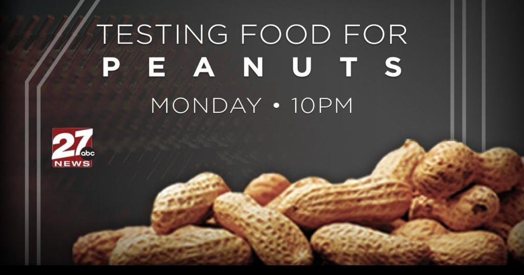 SPECIAL REPORT: Testing food for peanuts as allergy cases rise in ...