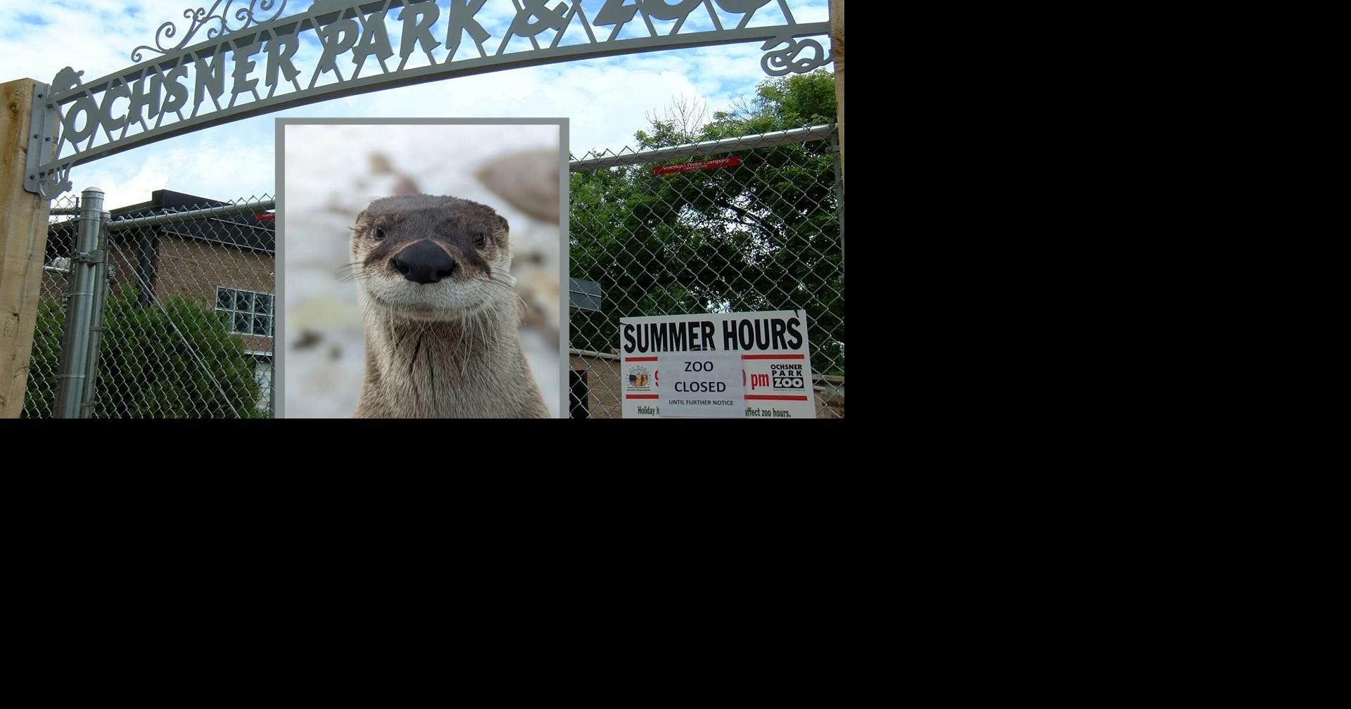 'This could have been deadly': Zoo animals let loose in Baraboo | News ...