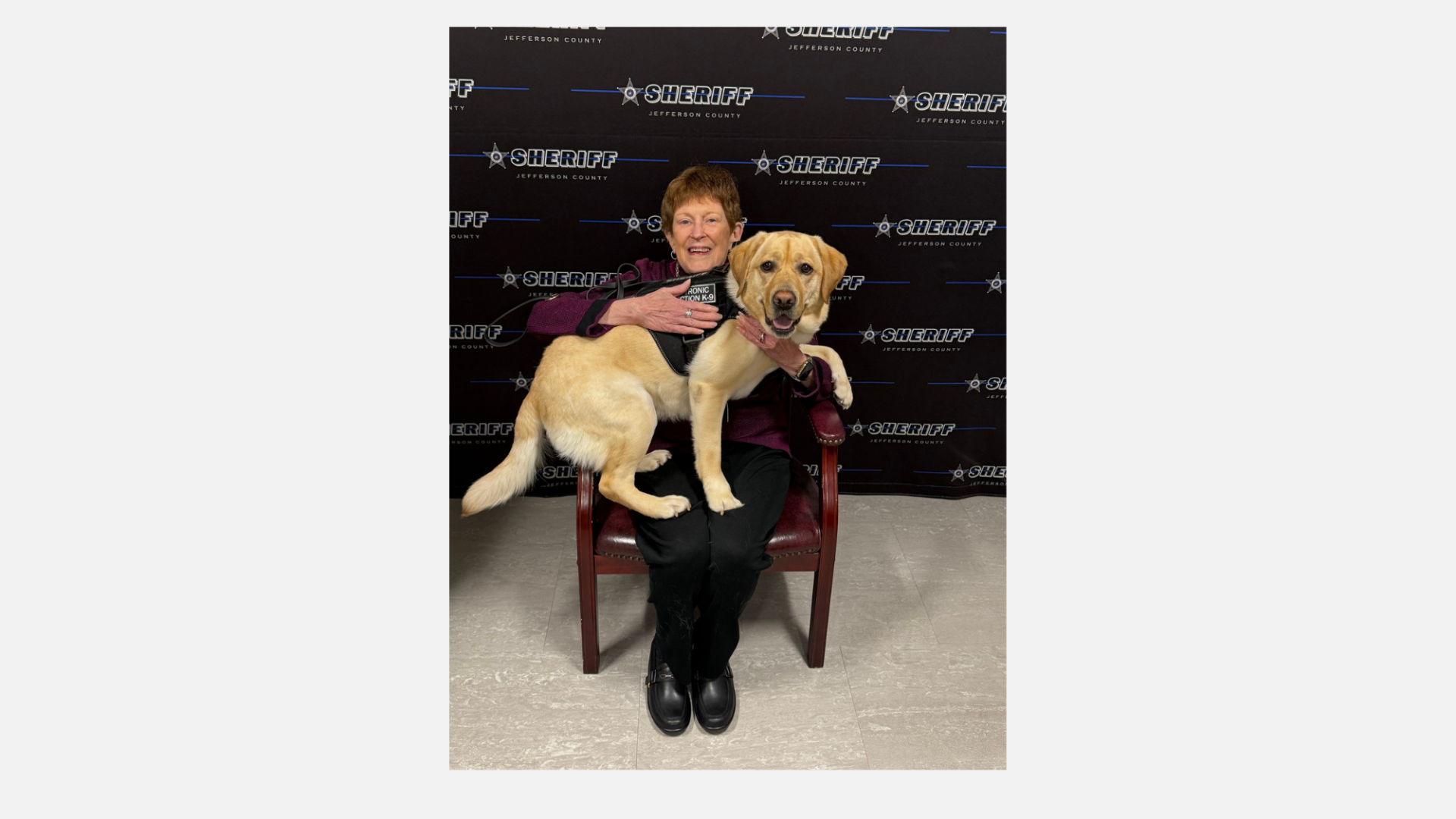 K-9 Kingsley joins Jefferson County to sniff out internet crimes ...