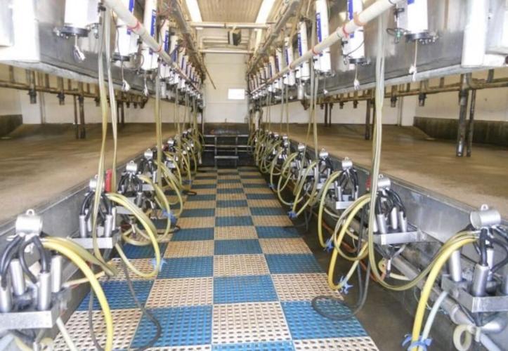 Inside Look: Dodgeville's Dolan Farms LLC during Dairy Month | News ...