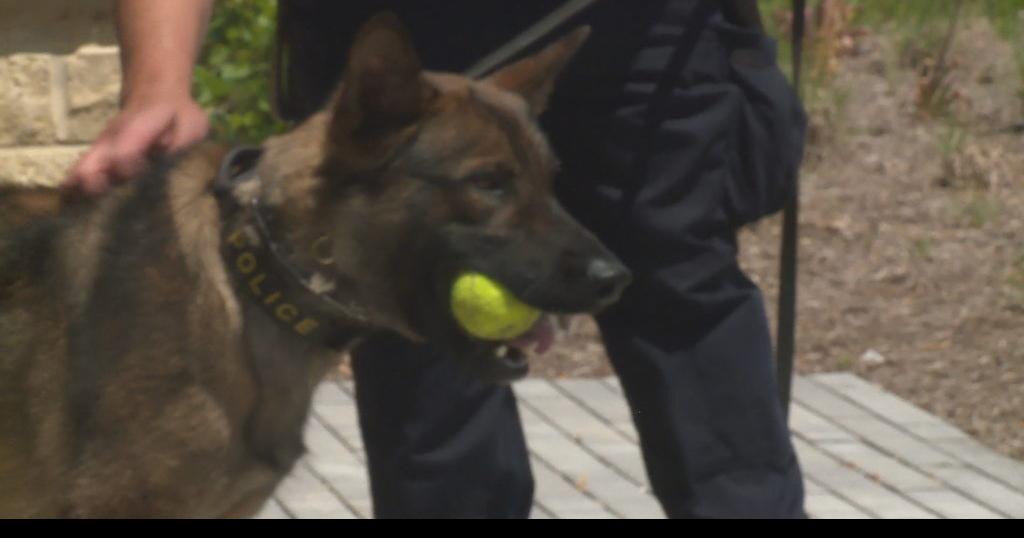 New K9 welcomed into Madison Police Department | Archive | wkow.com