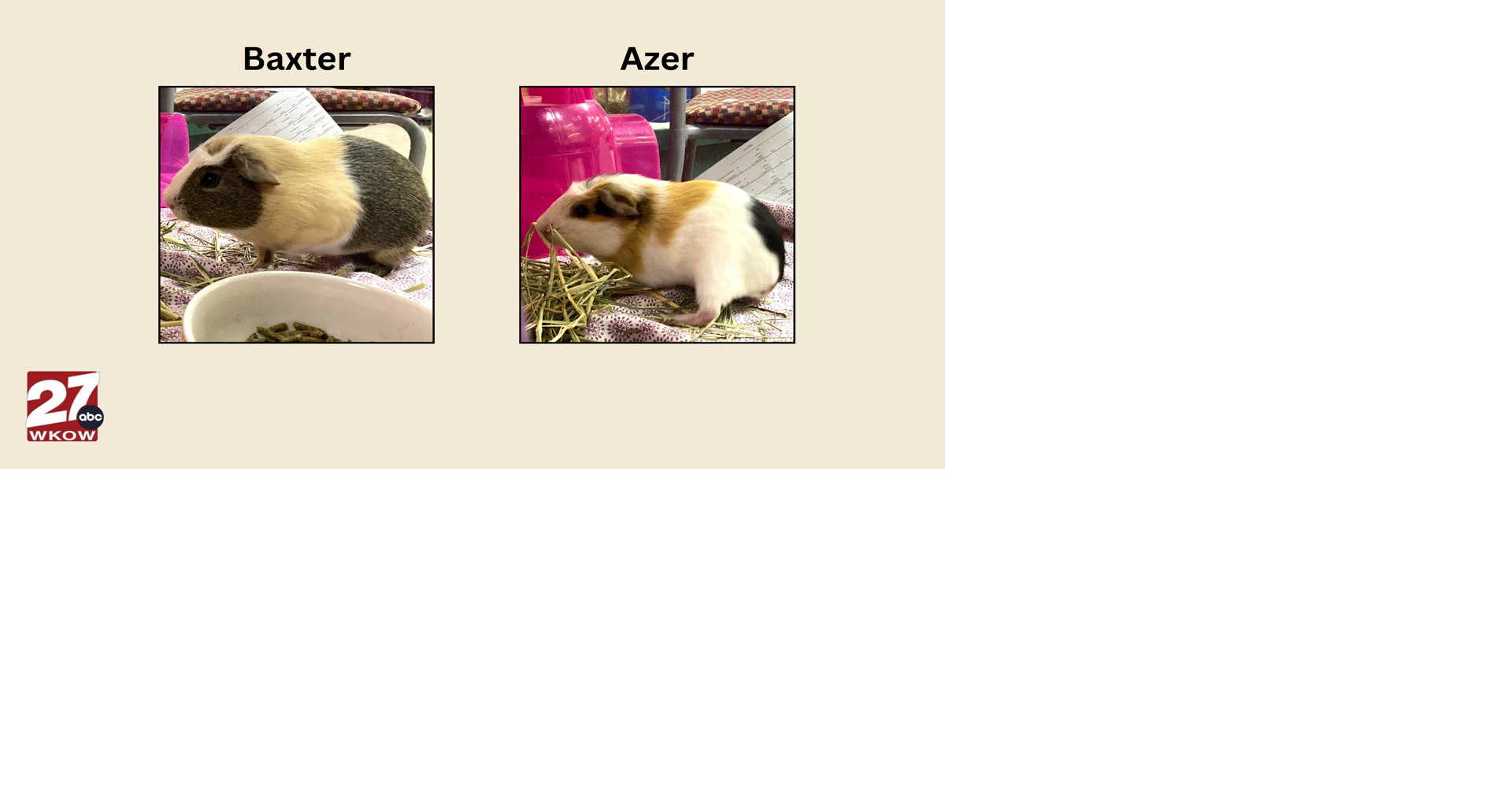 Pet(s) of the Week: Meet Baxter and Azer! | News | wkow.com
