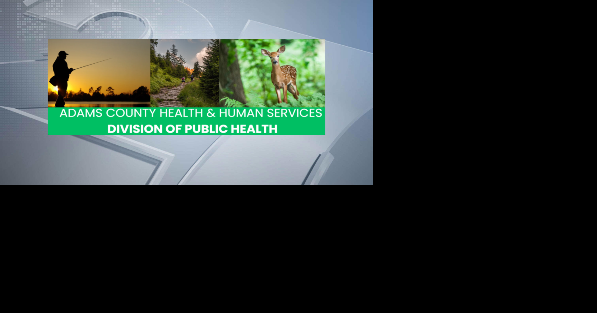Bat collected in Adams County tests positive for rabies | News | wkow.com