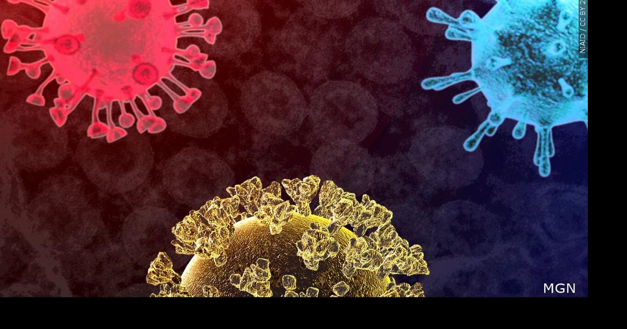 Flu & RSV activity increasing in Wisconsin | Health | wkow.com