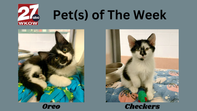 Pet(s) of the Week: Meet Oreo and Checkers! | Pets | wkow.com