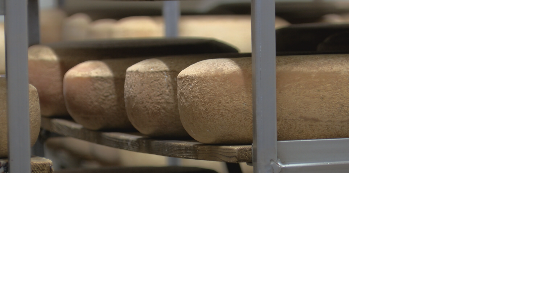 Federal grant funding for dairy businesses paused | News | wkow.com