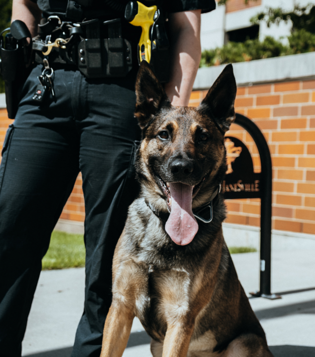 Janesville Police Department fundraising for K9 bullet-resistant vests ...