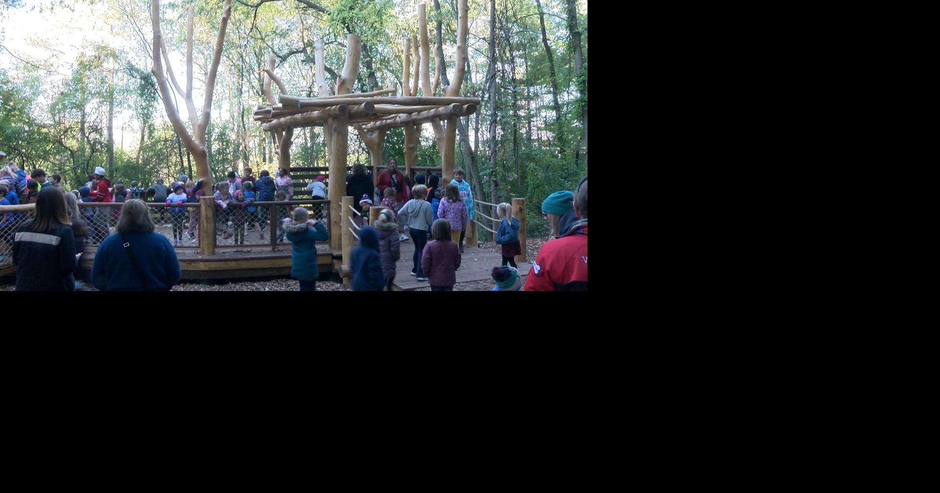 Treehouse opens at Chad Erickson Memorial Park | News | wkow.com