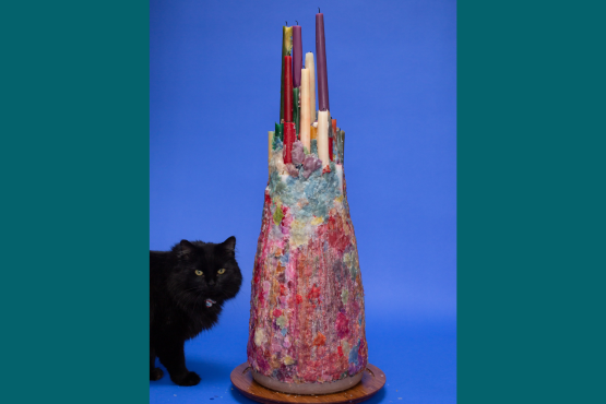 Madison artist named 'Artist in Residence' at Thurber Park | | wkow.com