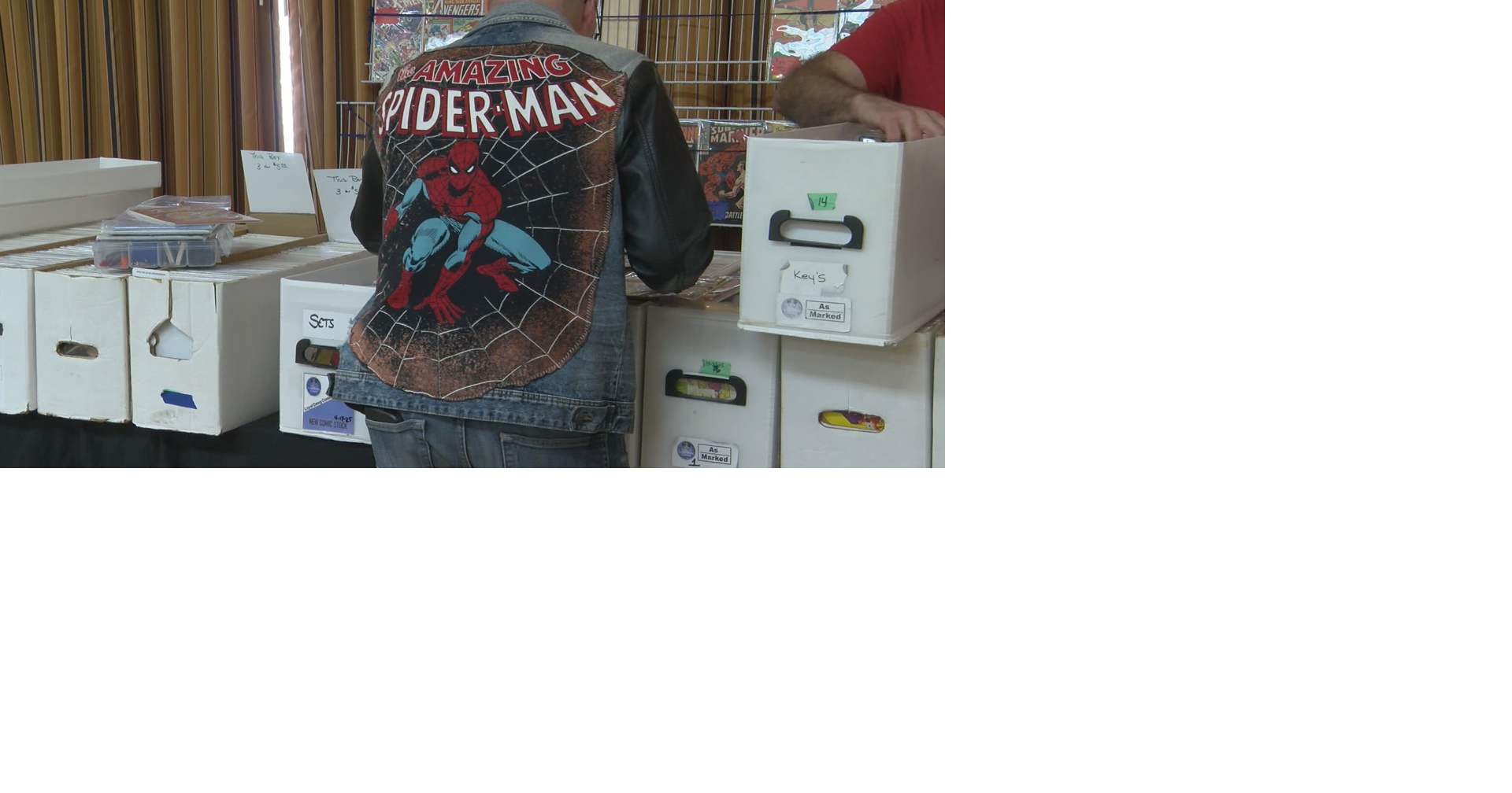 Comic book fans flock to MainStay Suites for Madisons convention event ...
