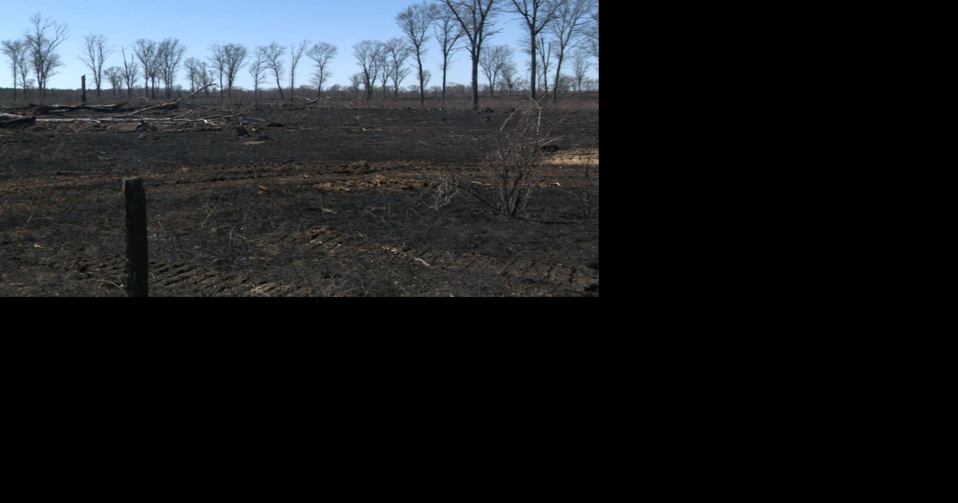 DNR: Burning debris started fire at Necedah Wildlife Refuge | Archive ...