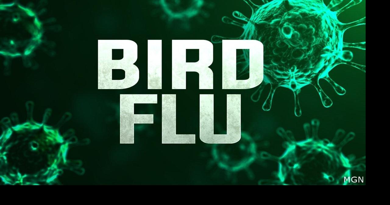 Bird flu hits Jefferson County poultry farm, quarantine in place | Top ...