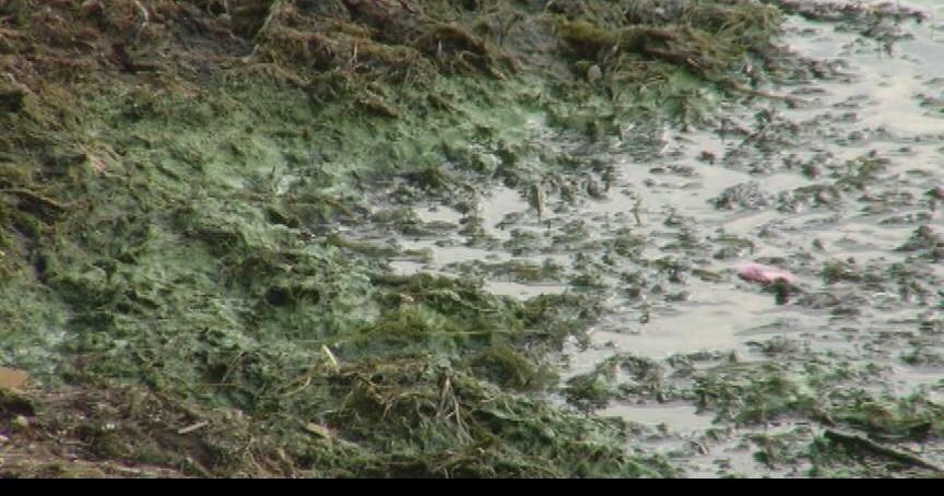 Wisconsin sees algae blooms after flooding | Archive | wkow.com