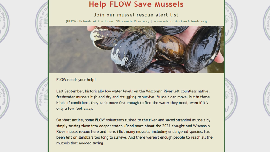 New initiative calls on volunteers to protect a Wisconsin endangered ...