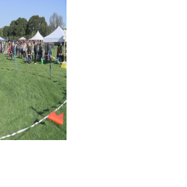 Monona Parks & Recreation hosts Fall Festival | News | wkow.com