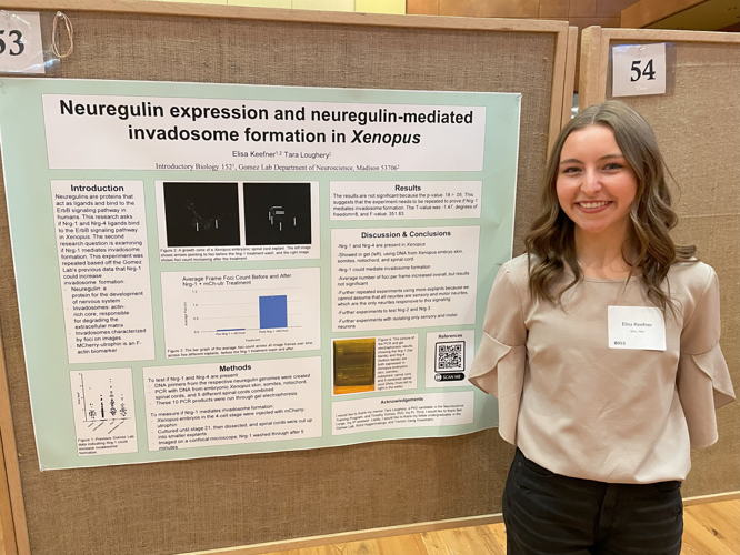 'Our voices are needed': Supporting Wisconsin women in STEM | News ...