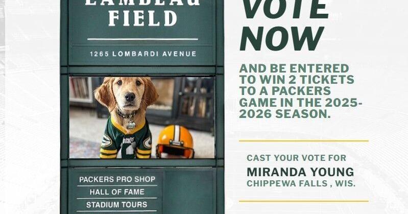 Chippewa Falls dog one of 5 finalists in Green Bay Packers Fan Favorite ...