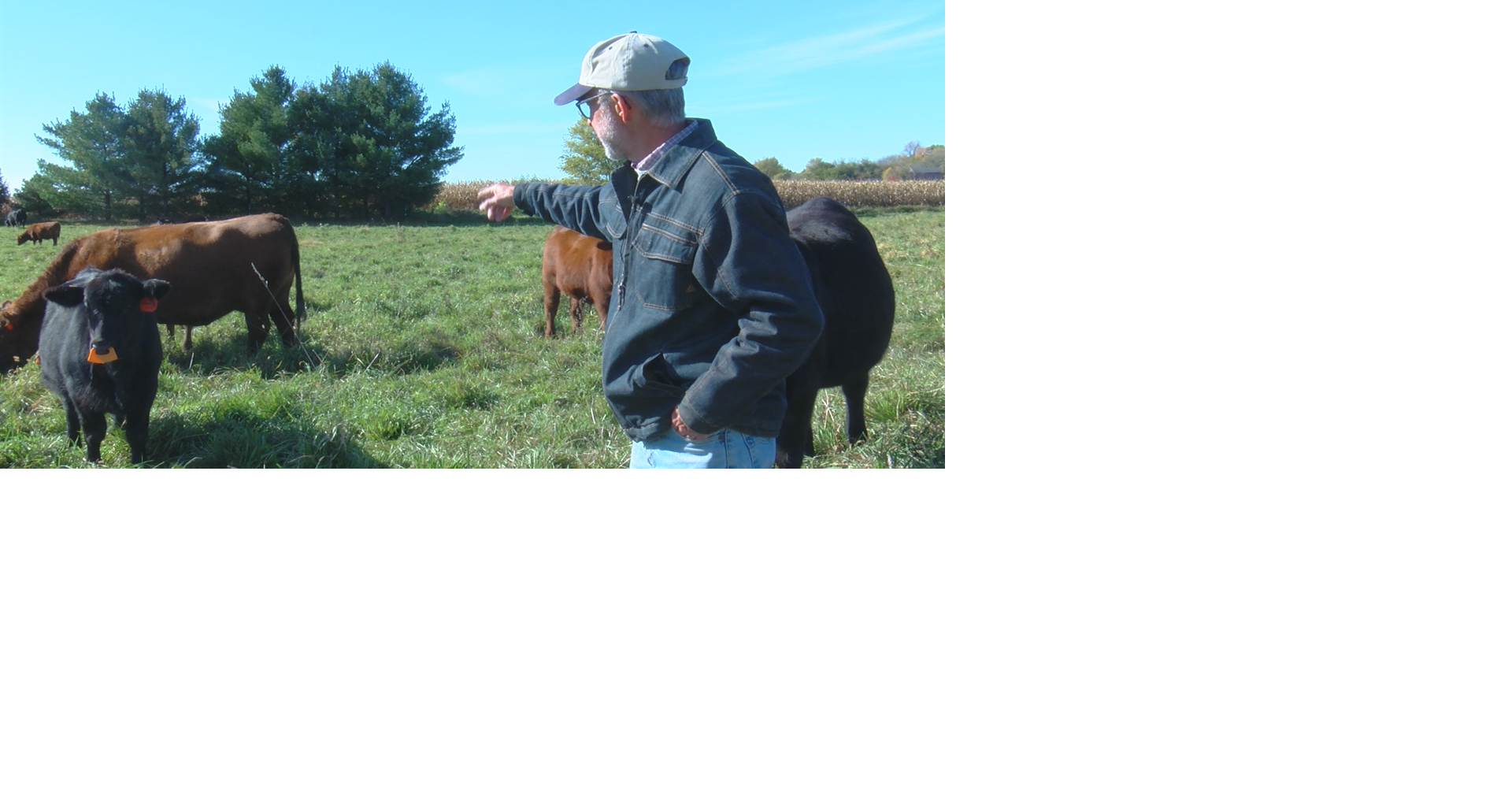 Dane County farmer reacts to U.S. - Argentina beef deal | | wkow.com