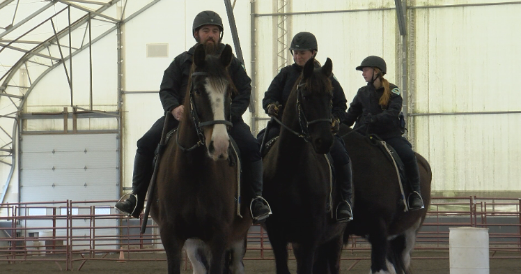 Members of Madison Police Department Mounted Patrol Academy set to ...