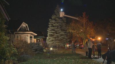 'Enjoy the tree and enjoy Christmas': Milwaukee harvests city Christmas ...