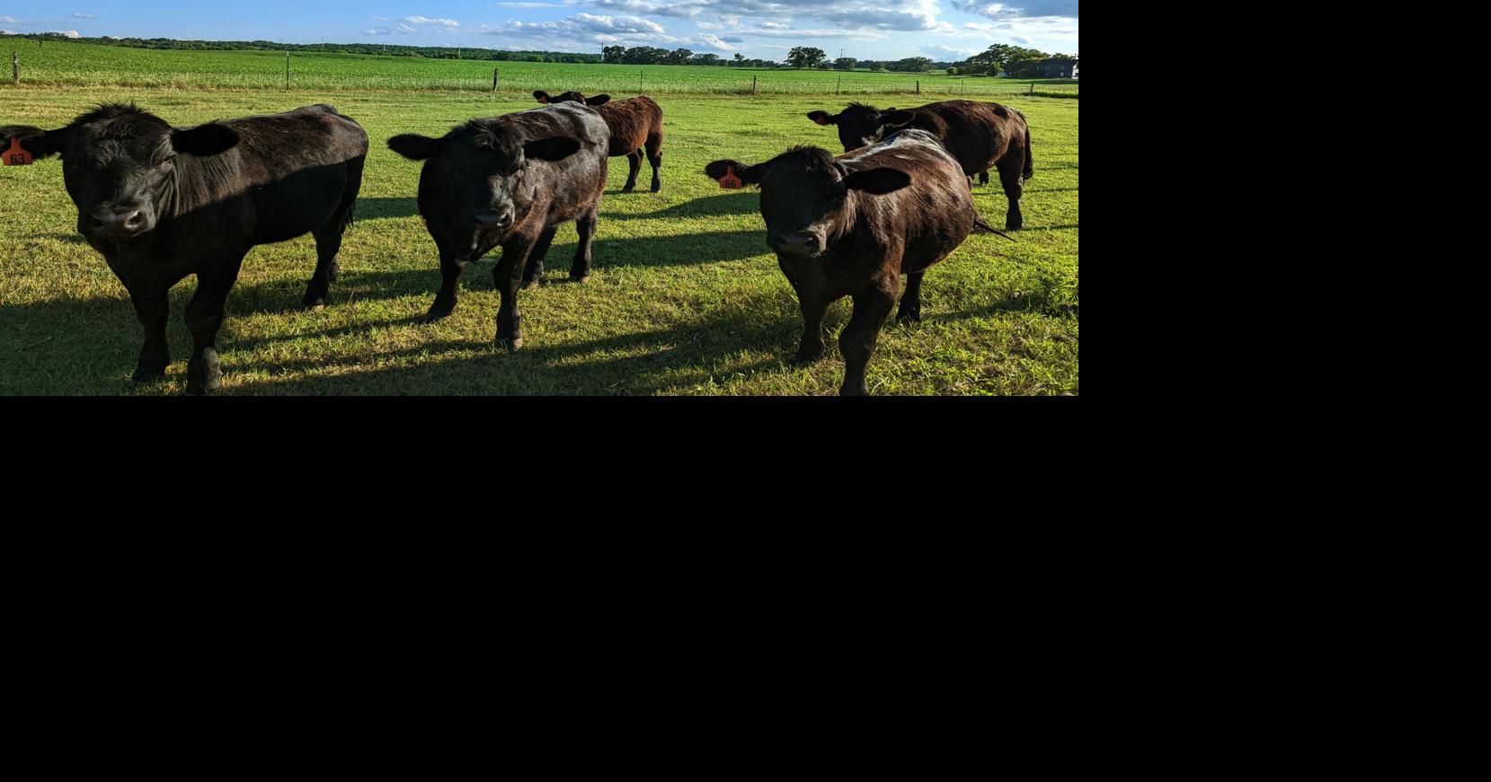 A life of service, founder of nonprofit CC Cattle Co. helps the food ...