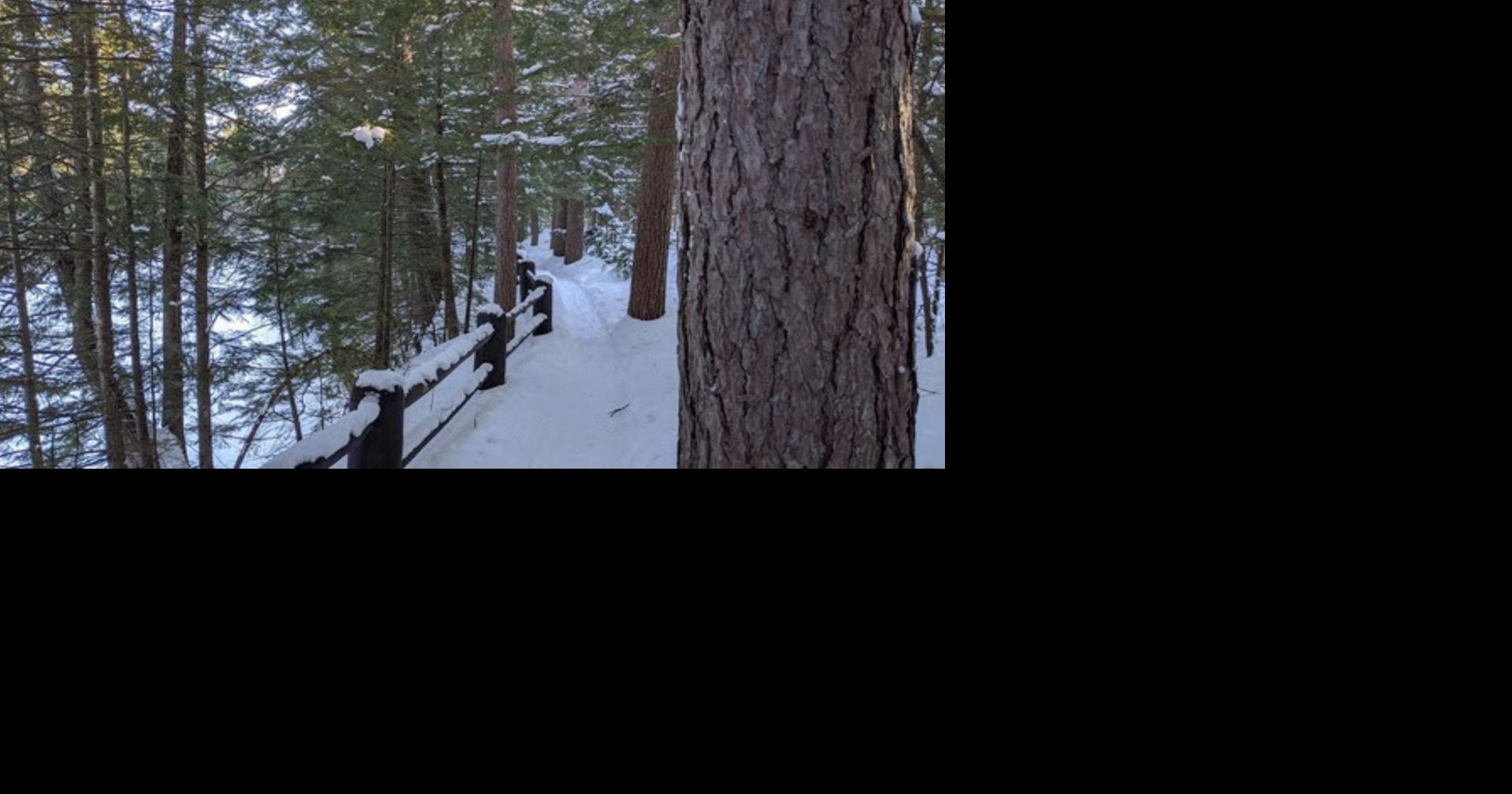 Registration open for DNR's Bob Ross-inspired virtual 5K race ...