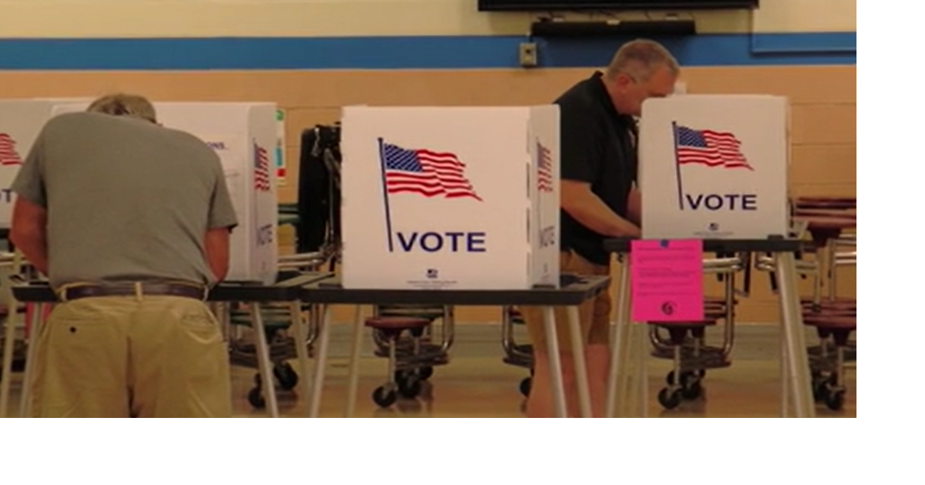 Voter turnout in Madison hits record numbers for partisan primary ...