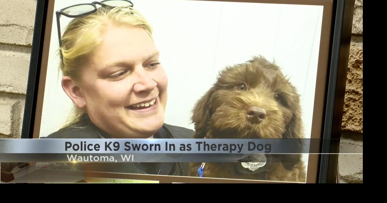 K9 partner of slain officer gets new job | News | wkow.com