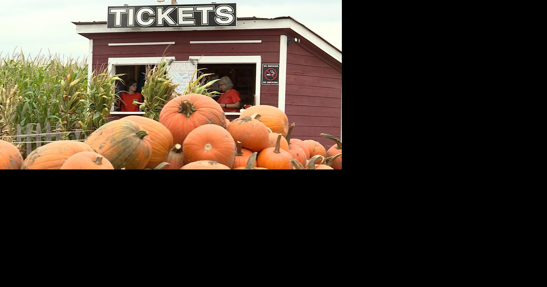 Schuster's Farm kicks off flower season | News | wkow.com
