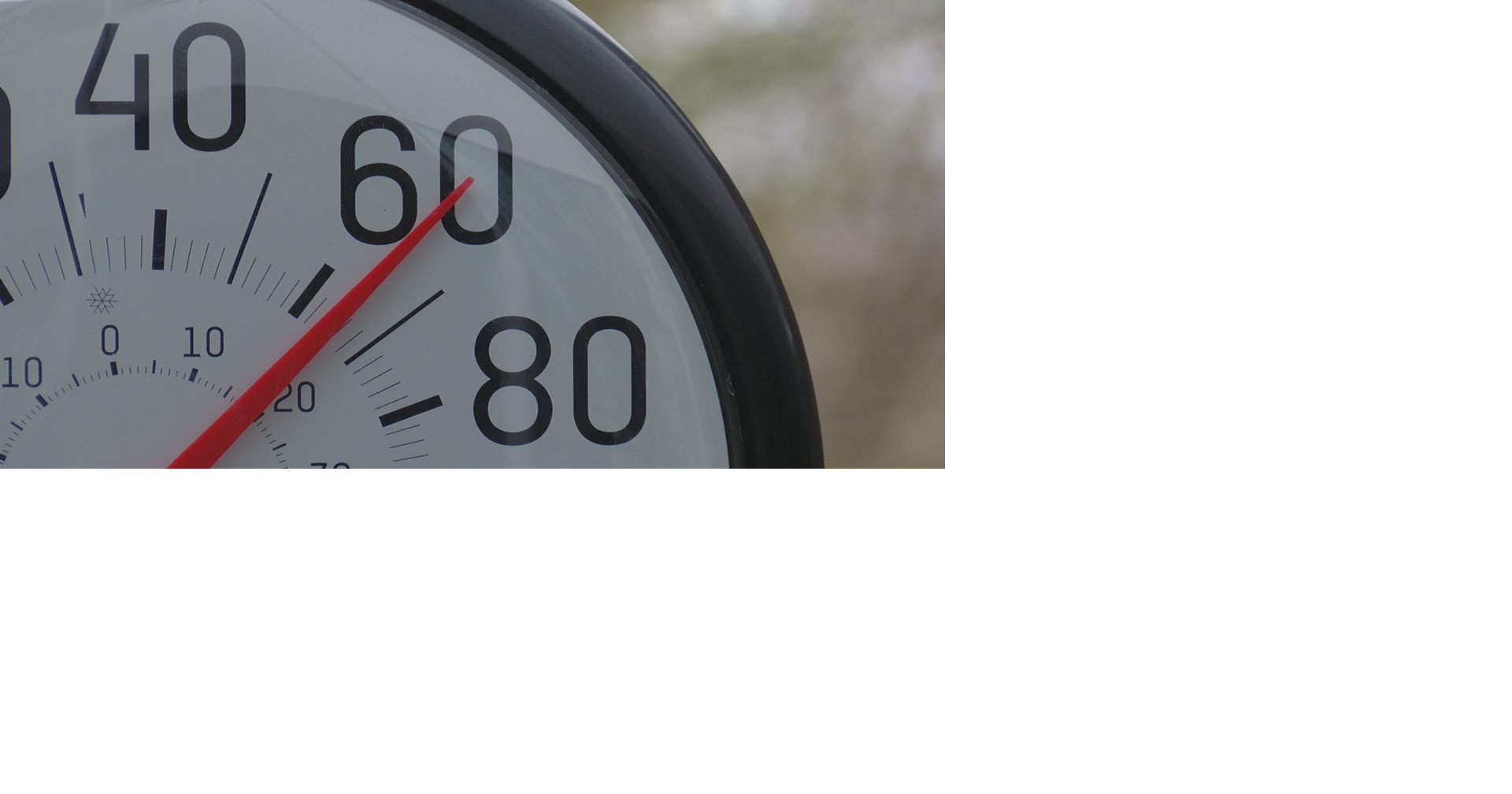 'Out of whack': Plants and animals react to record February heat, a ...