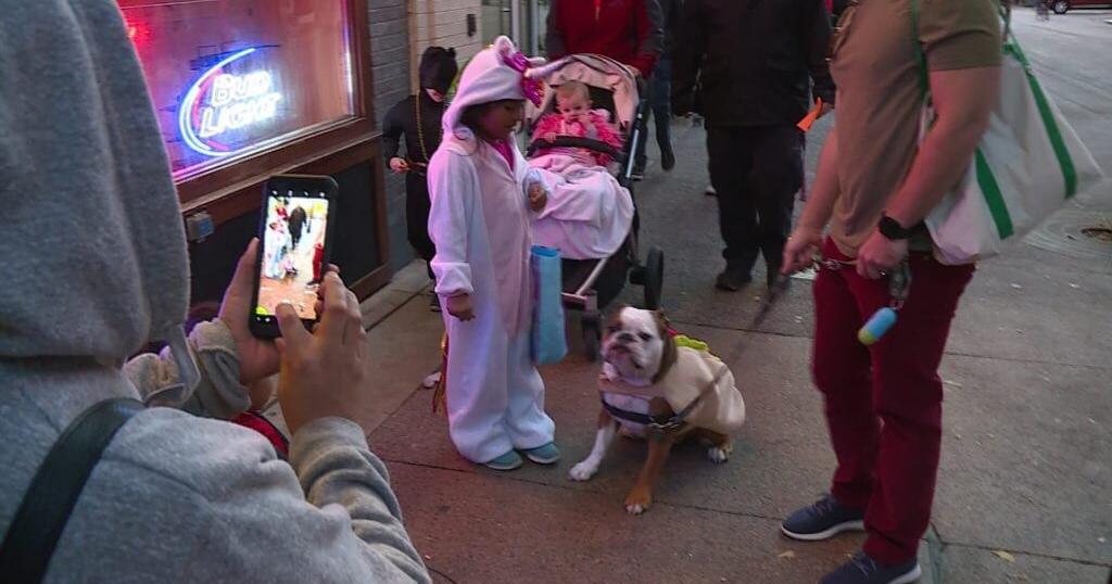 City of Madison plans alternative Halloween programming after canceling ...