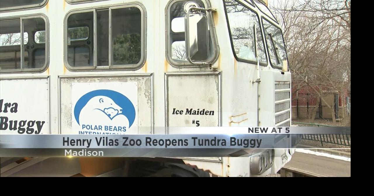 Henry Vilas Zoo reopens updated Tundra Buggy for polar bear ...