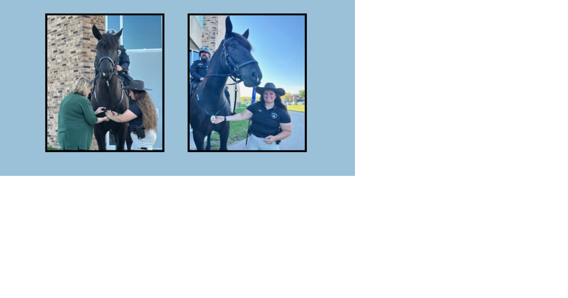 Spirit joins Madison Police Mounted Patrol | News | wkow.com