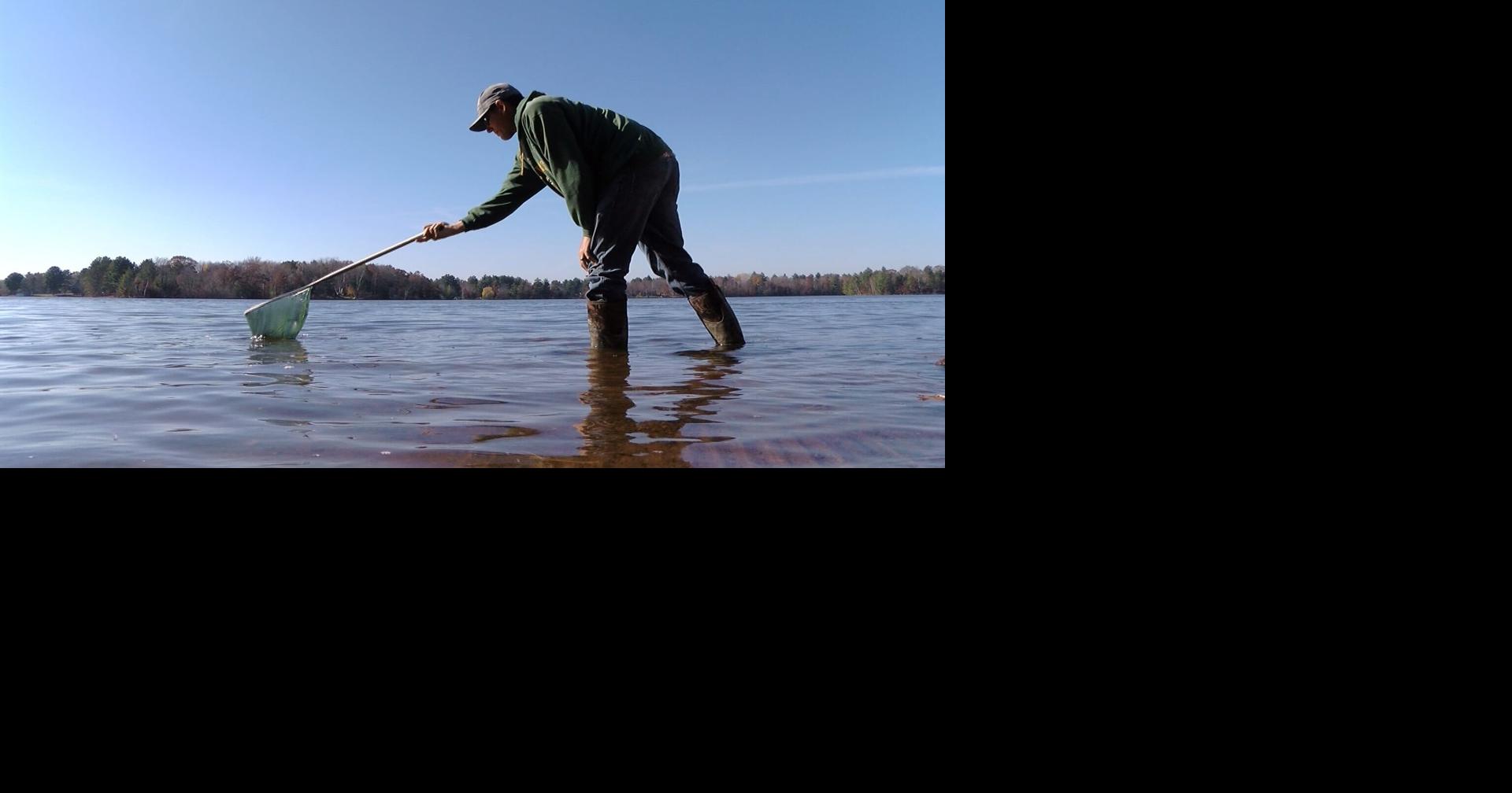Wisconsin DNR announces new muskie fishing rules | Environment | wkow.com
