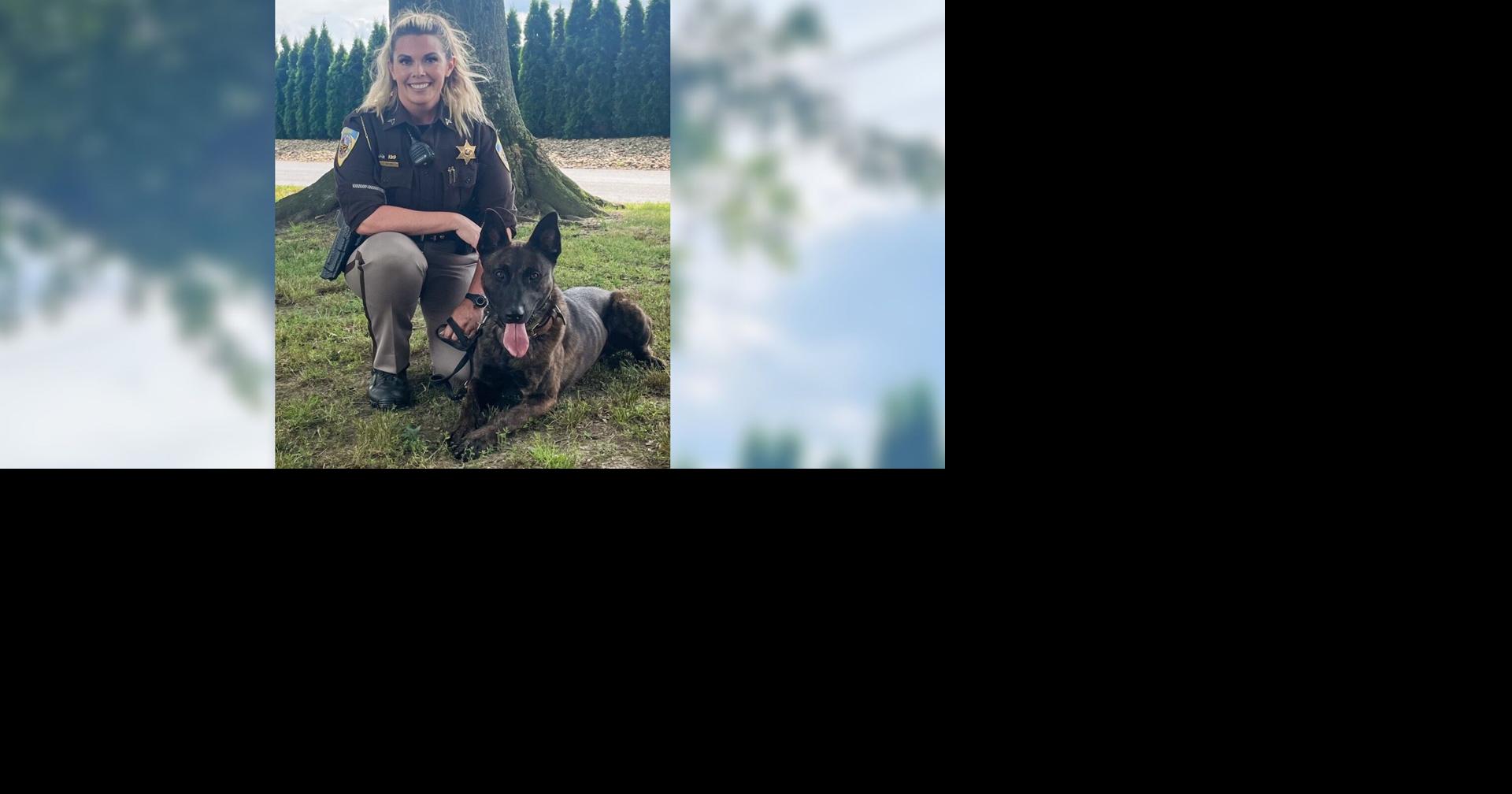Wisconsin K-9 track helps keep endangered woman safe | News | wkow.com