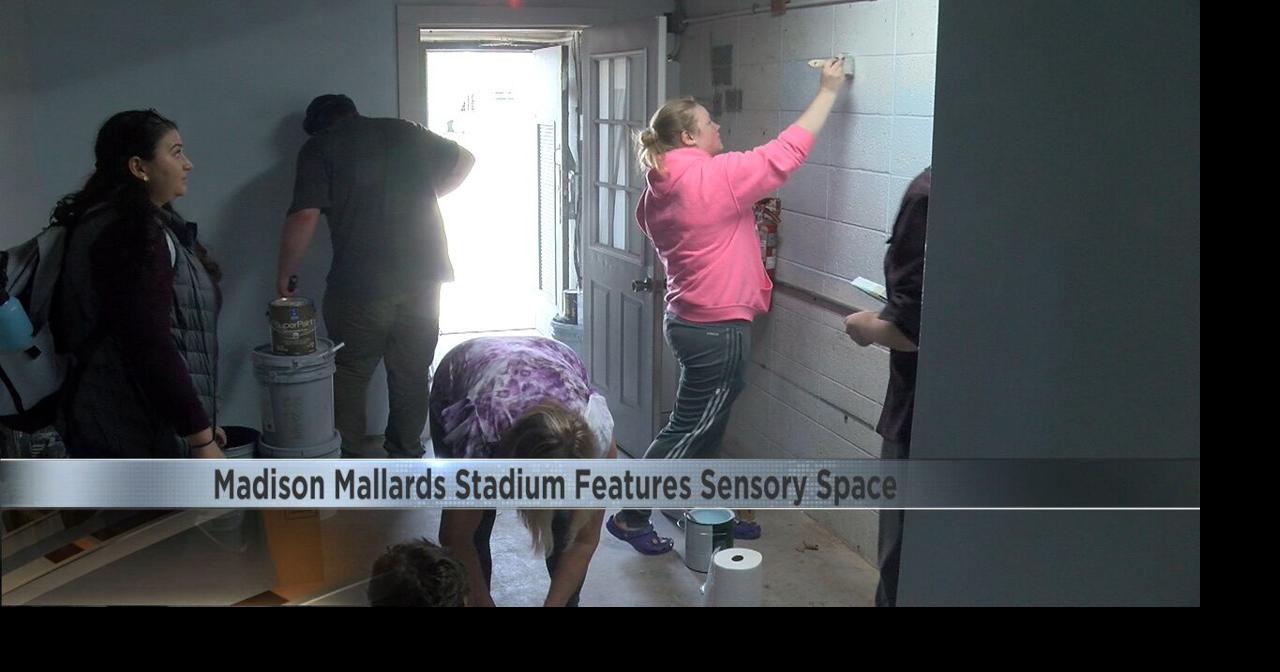 Madison Mallards partners with Camp Createability, offers new sensory ...