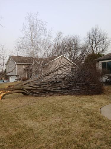 Severe weather damage in southern Wisconsin | Top Stories | wkow.com