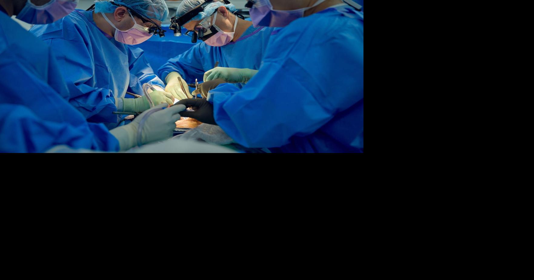 Doctors Say They’re ‘Measurably Closer’ to Making Pig Kidneys Work for ...