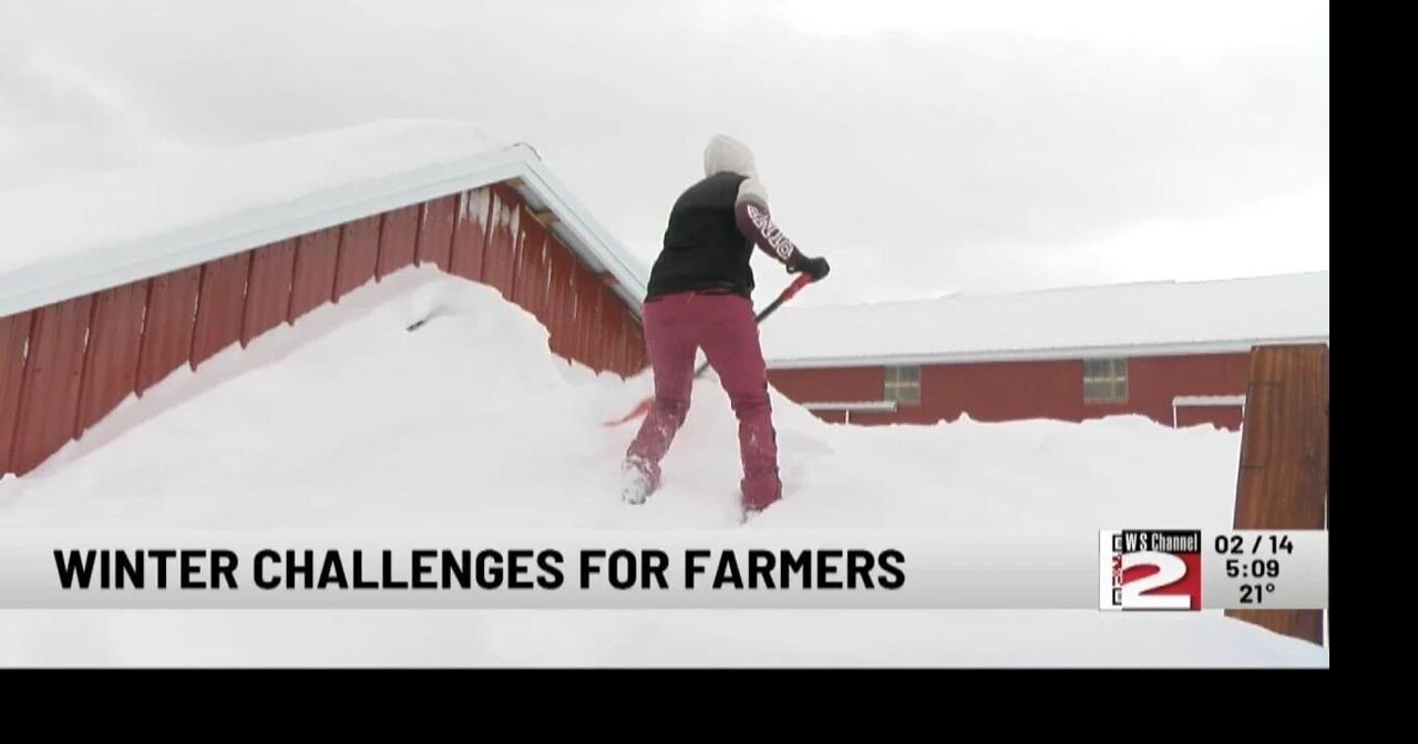 Winter Weather Challenges Farmers in Mohawk Valley | Local | wktv.com