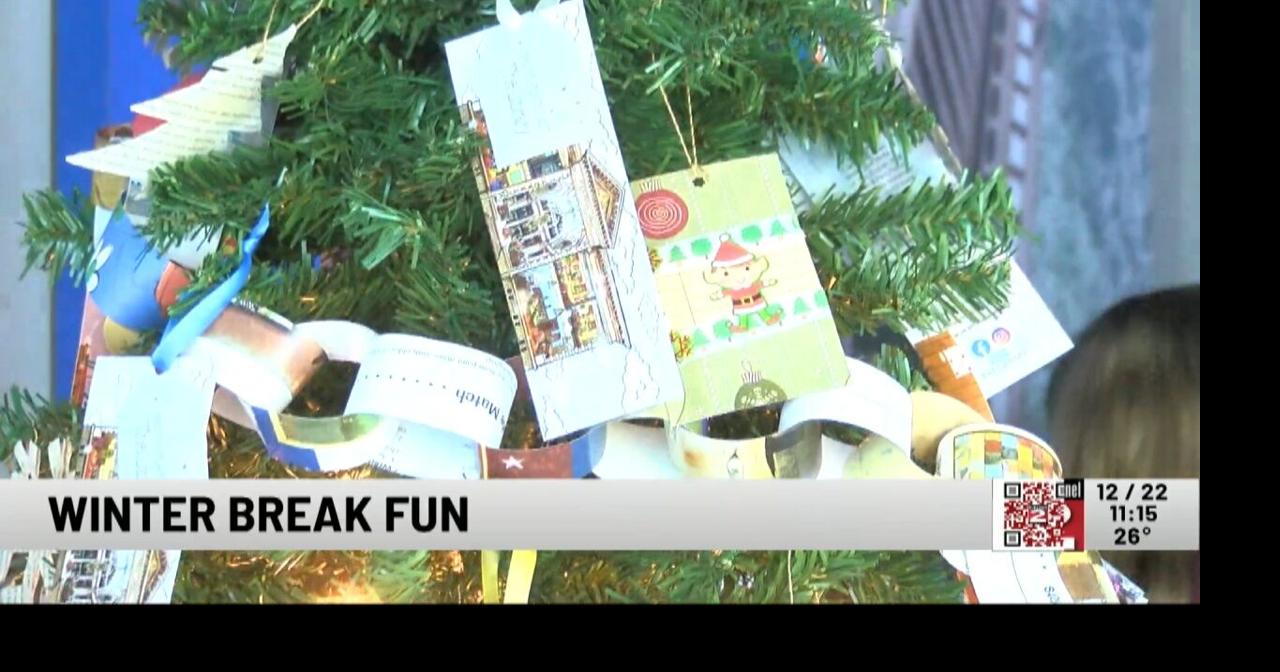 New York Energy Zone Hosts Festival of Trees | Video | wktv.com