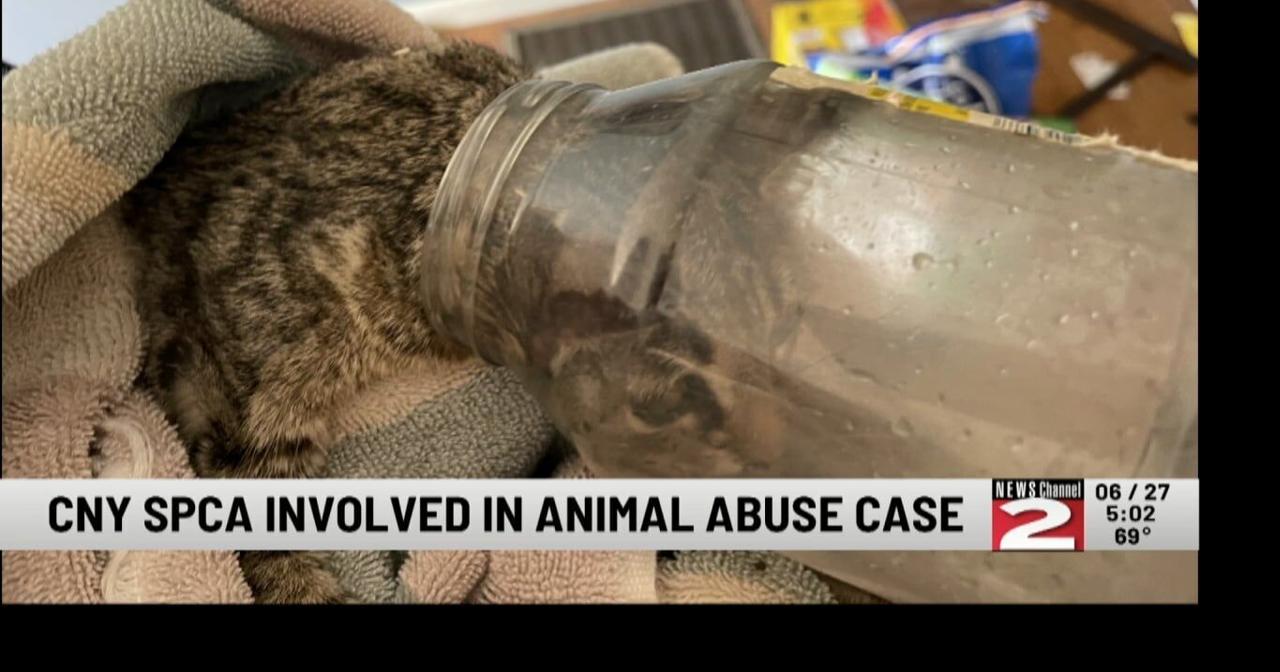 CNY SPCA Involved in Animal Abuse Case | Crime | wktv.com