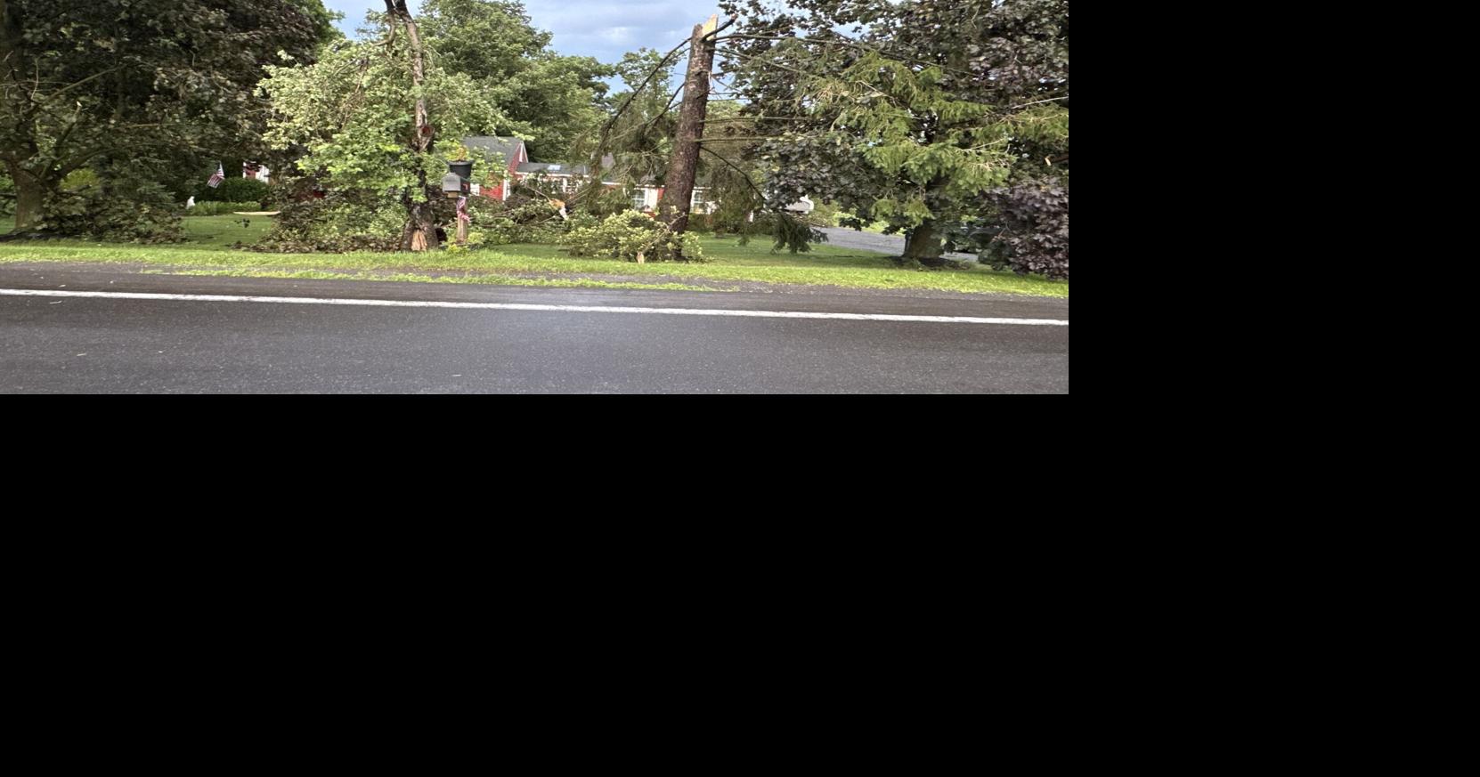 Parts of New Hartford Hit Hard By Severe Storms | Local | wktv.com