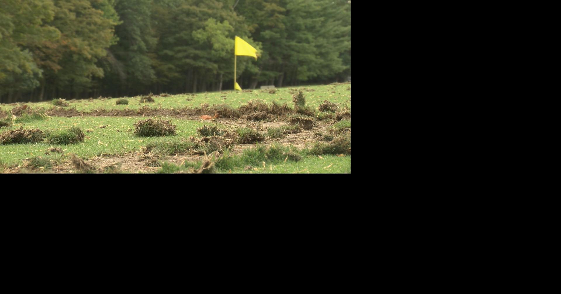 Vandals Damage Green at Valley View | News | wktv.com