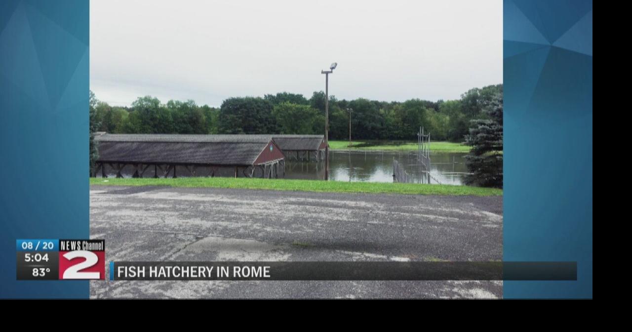 DEC: Not a 'total loss' at Rome Fish Hatchery after flooding | Archive ...
