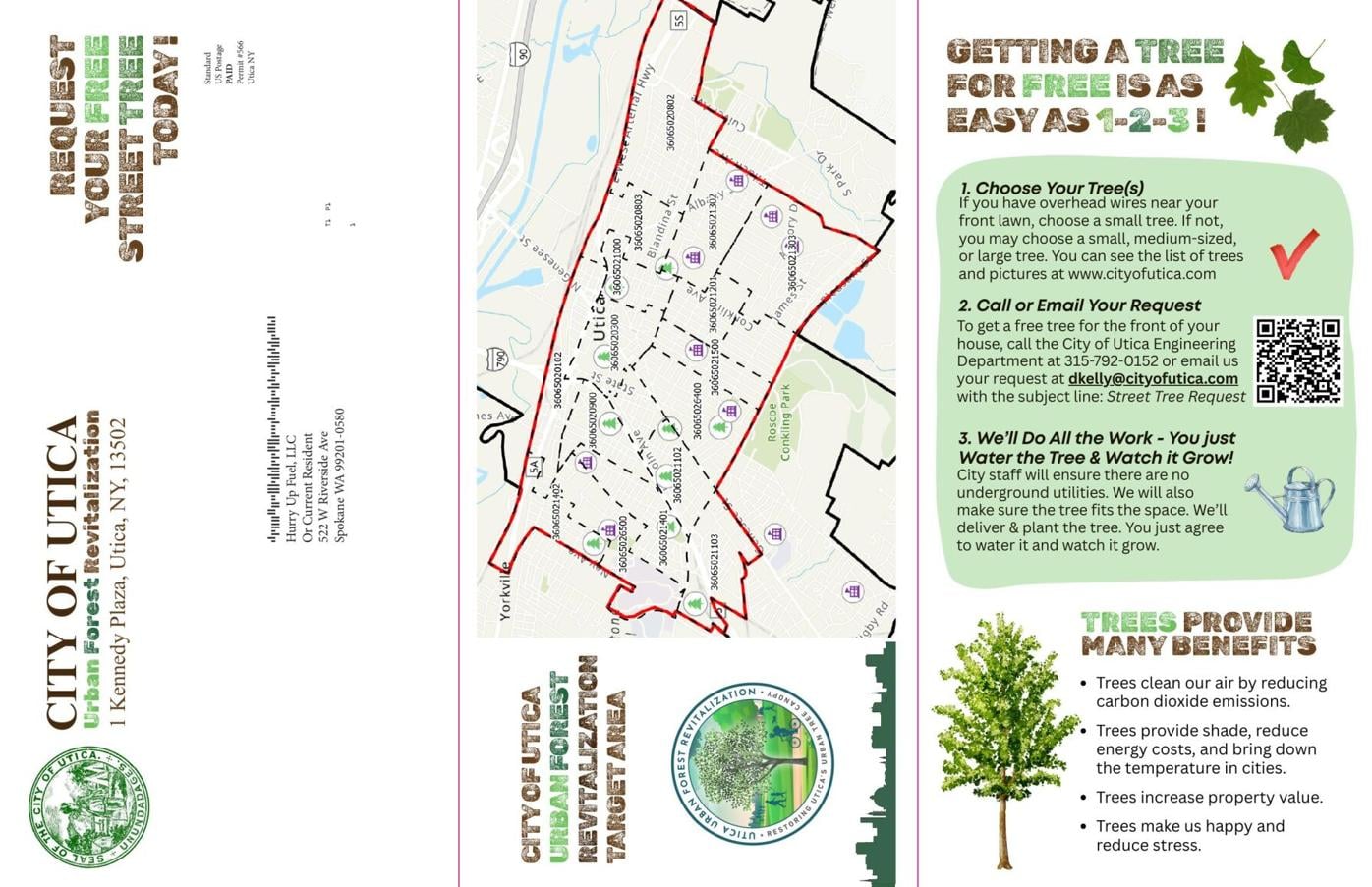 Utica Neighborhoods Can Get Free Trees Planted This Spring | Local ...