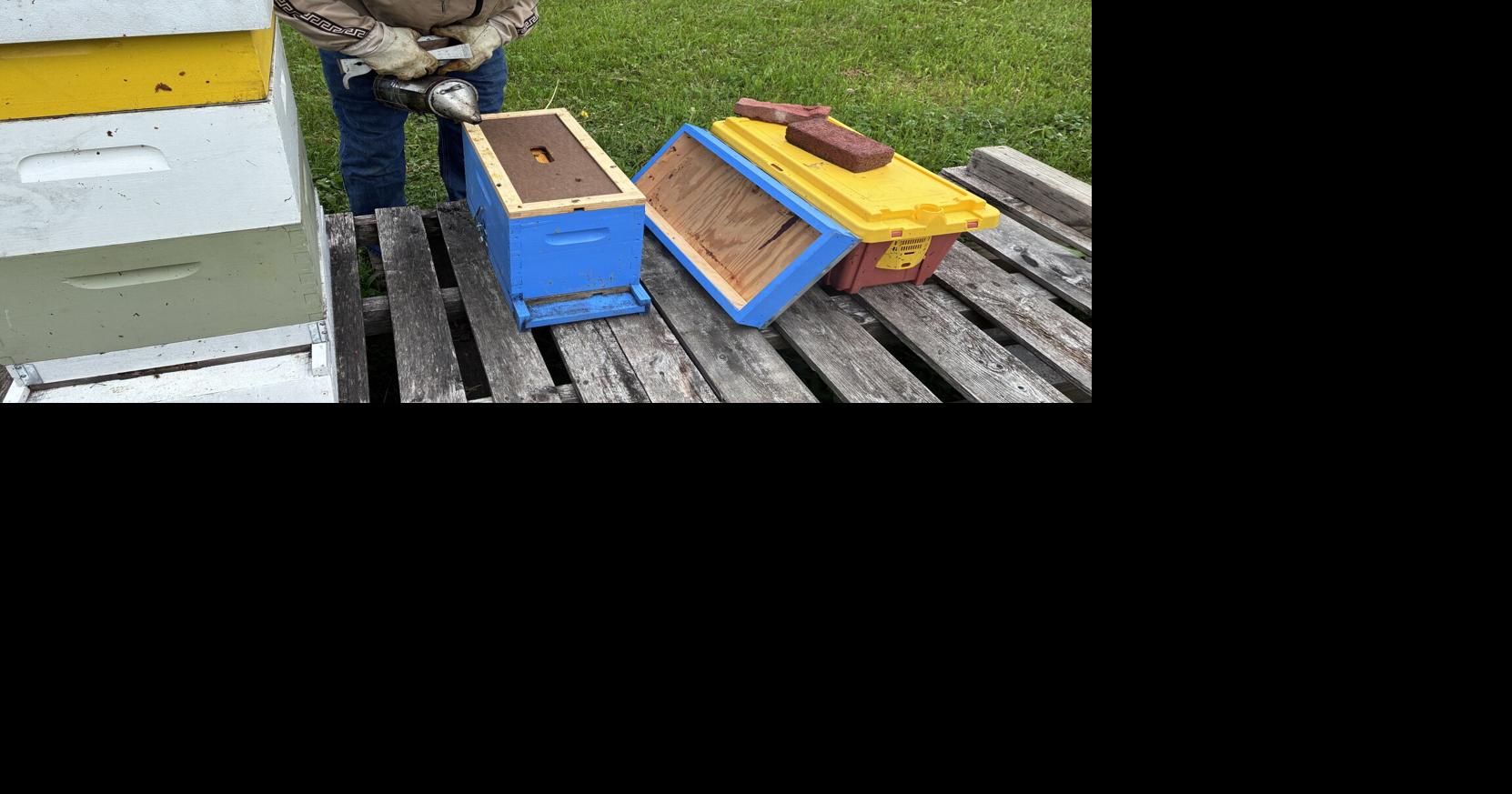 World Bee Day 2026: Beekeeping in Sauquoit | Local | wktv.com