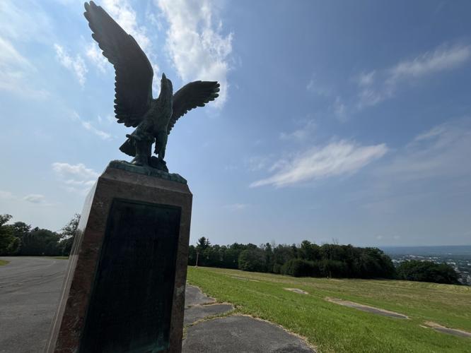 American Eagle Day: Viewer-Submitted Pictures of Mohawk Valley Eagle ...