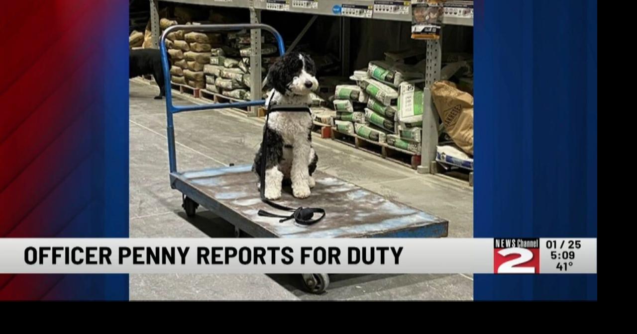 Officer Penny Reporting for Duty in Utica | Video | wktv.com