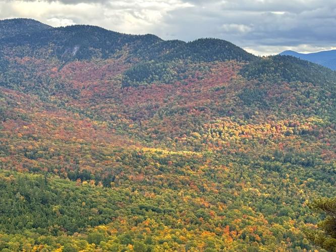 1st Week of October Fall Foliage Report | Weather | wktv.com