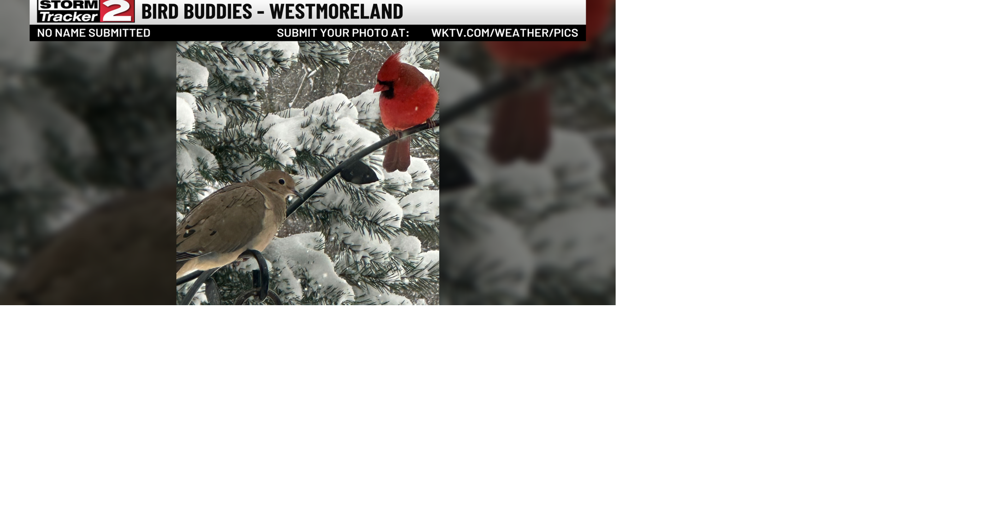 WKTV Weather Photo of the Day: December 3 | Daily Weather Photo | wktv.com